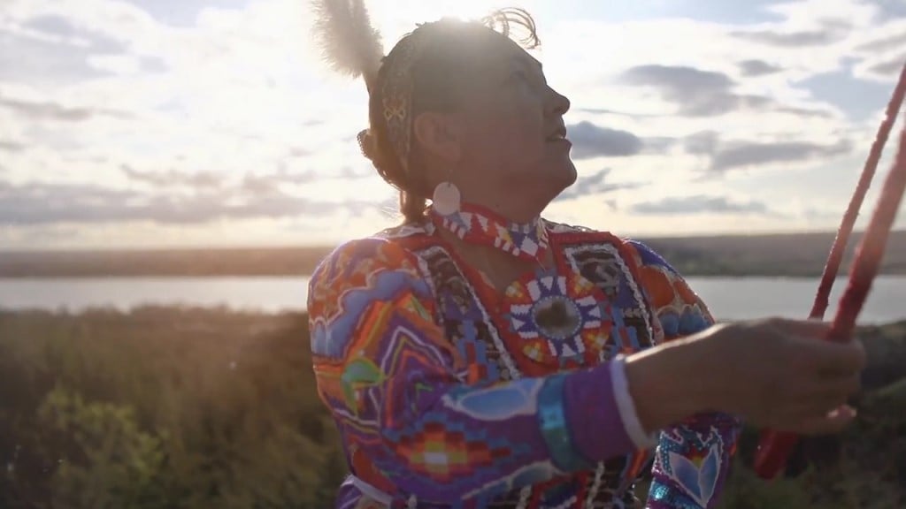 Take Flight with Jackie Bird