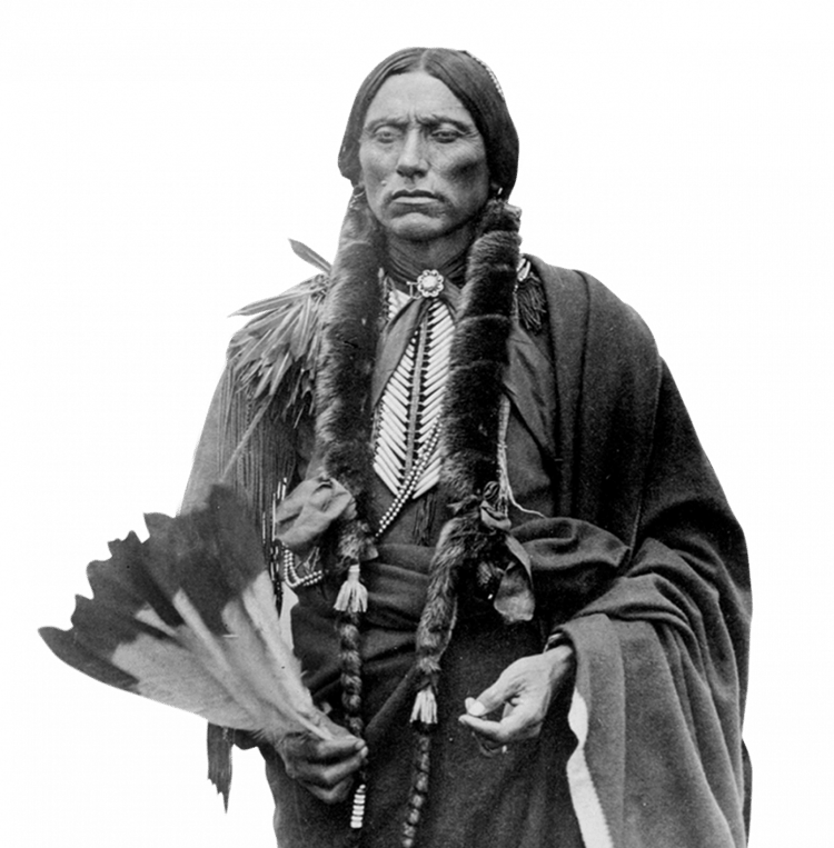 Mounted Defenders: The History of the Comanche Nation