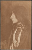 Zitkala-Sa: A Trailblazer for Native American Rights and Cultural ...